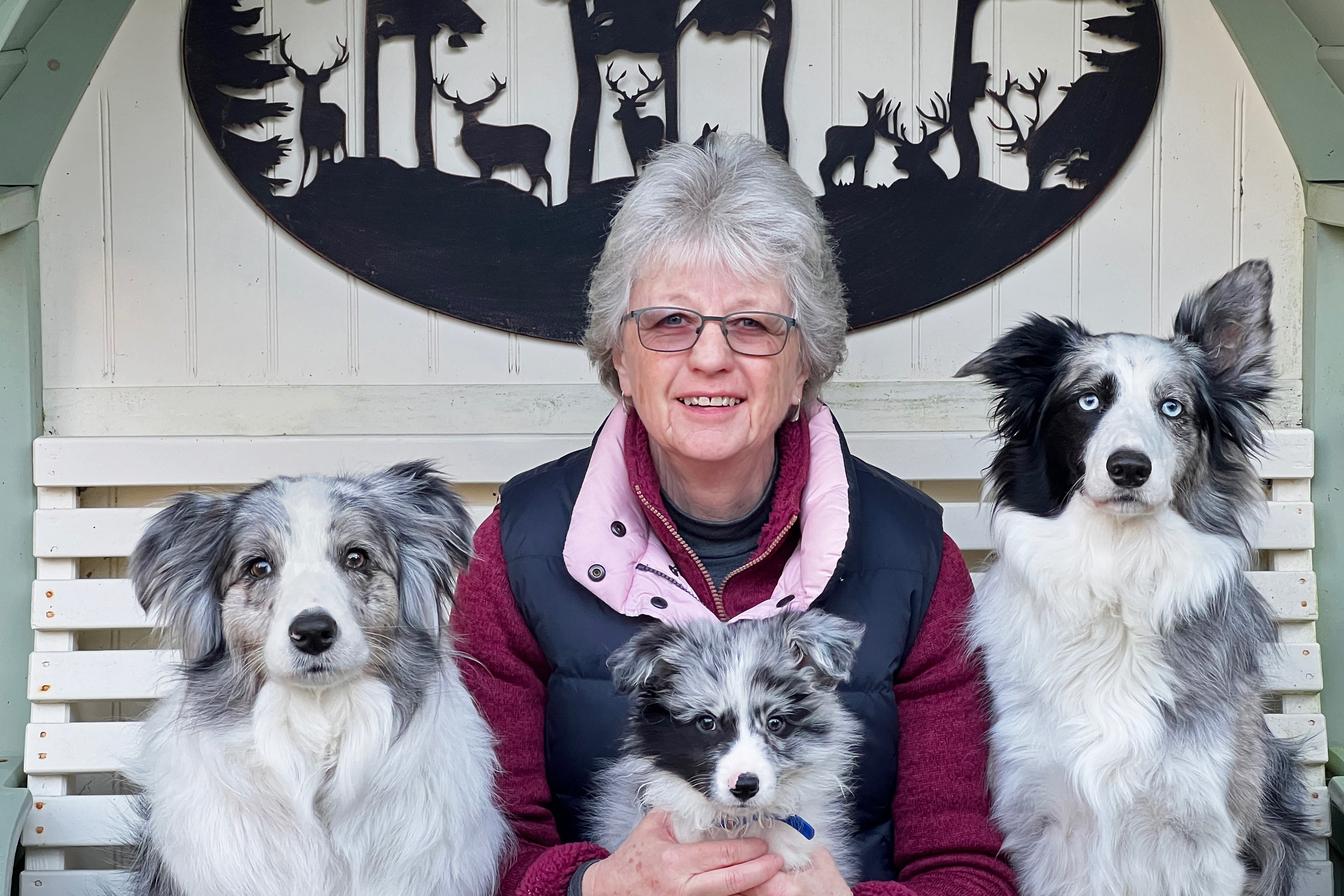 Committee – Winchester City Dog Training Club